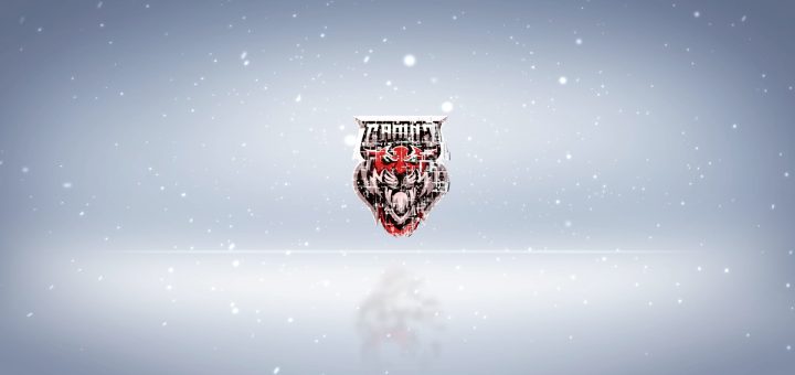 Logo Reveals – Page 8 – EnzeeFX